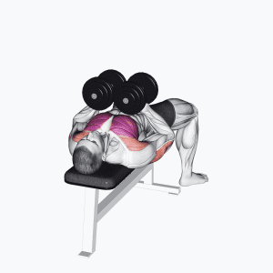 Hex Press Exercise Guide 2026: How-To, Benefits, Variations