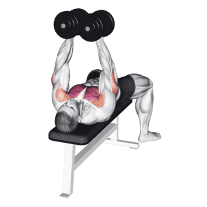 Hex Press Exercise Guide 2026: How-To, Benefits, Variations