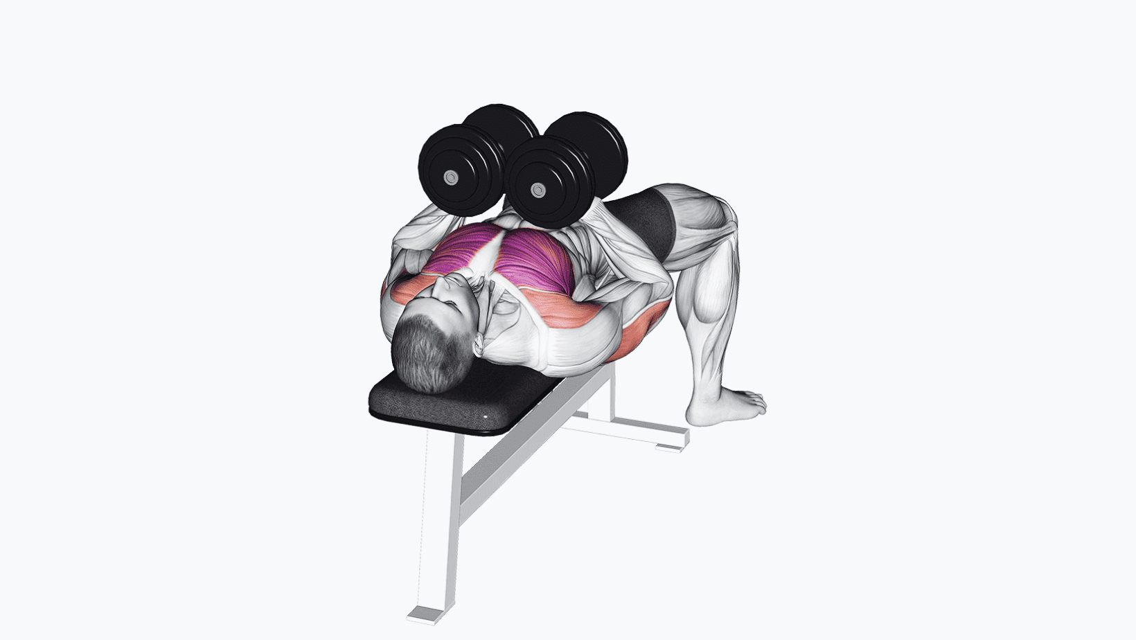 Hex Press Exercise Guide 2026: How-To, Benefits, Variations